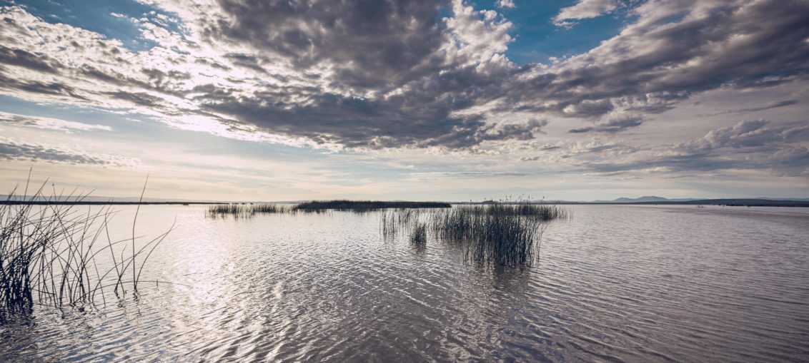 Malheur Lake: Essential for habitat and culture – Burns Times-Herald